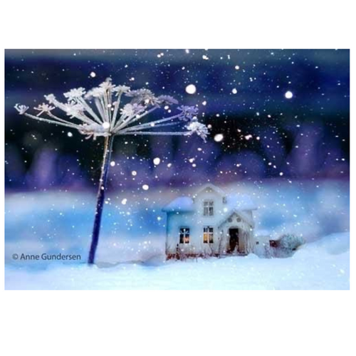 Anne Gundersen - Winter crown | GalleriMy