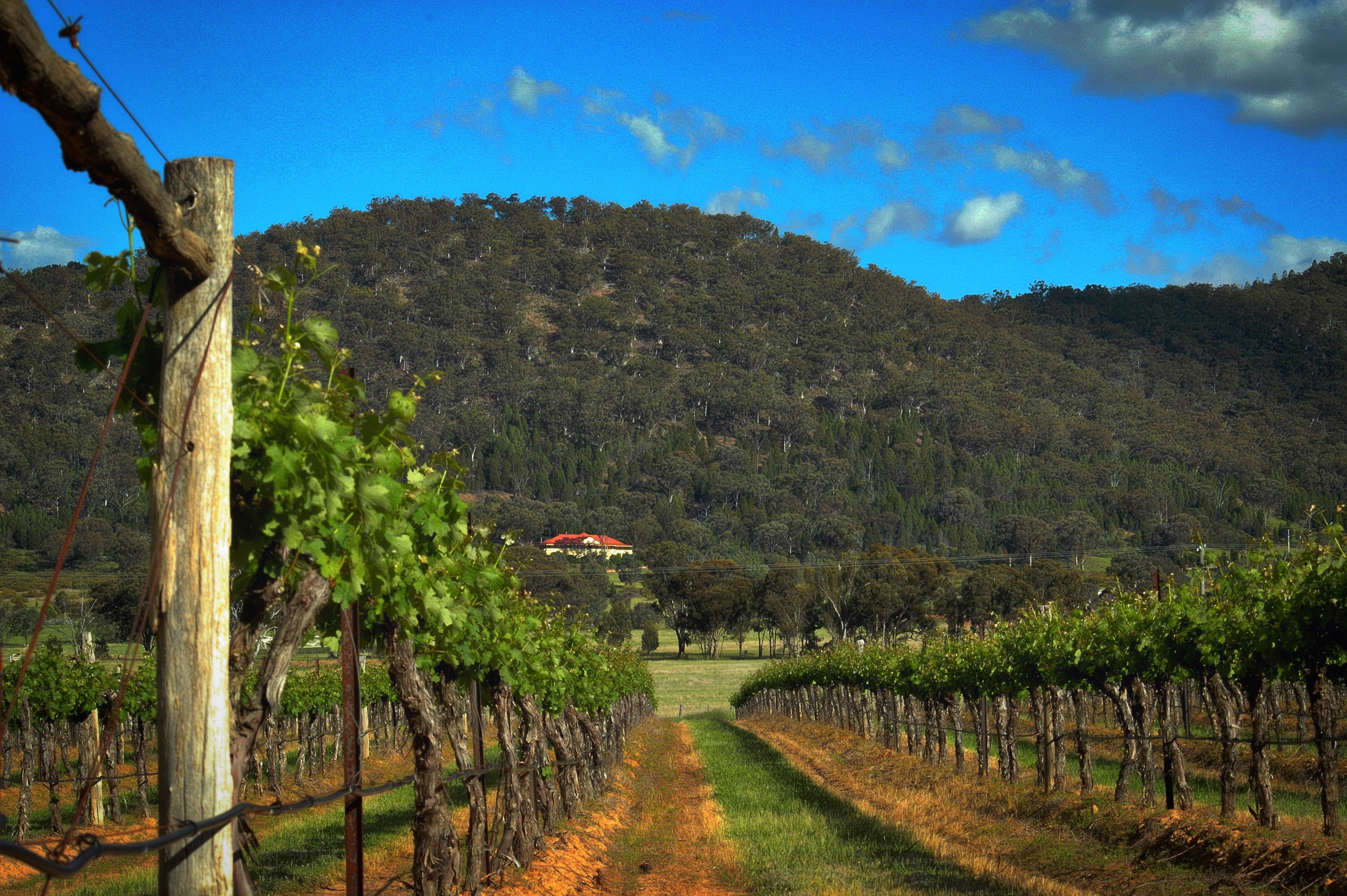 Award-winning Guesthouse | Mudgee | Mudgee Homestead Guesthouse