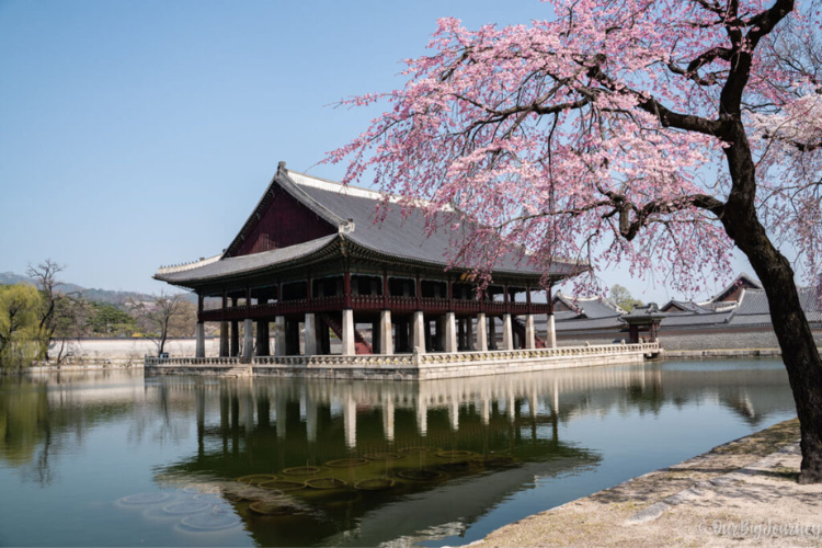 Explore Seoul’s rich history with these 8 must-visit historical places