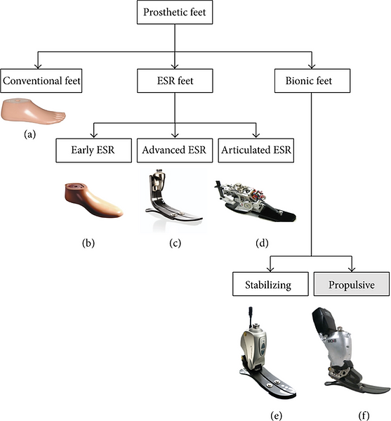 Prosthetics | Mobility Assist