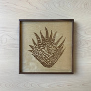 Portfolio | Dusty Stache