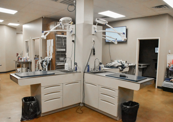 MAIN STREET VET | M3 RANGER