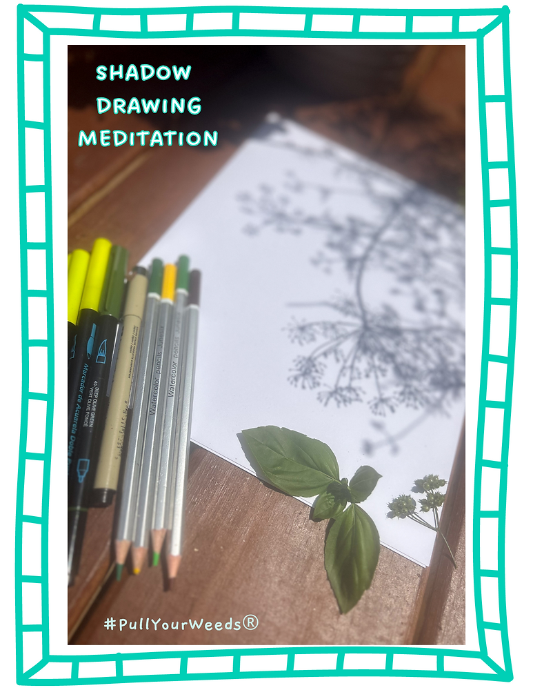 Shadow Drawing Meditation | Crafts For Kids