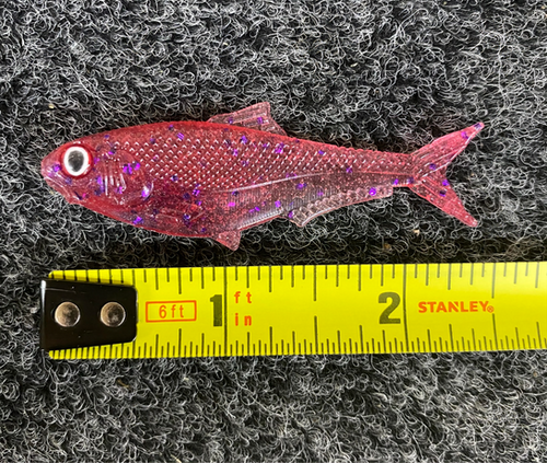 2.5" Dizzard Shad | Kearby Design & Manu