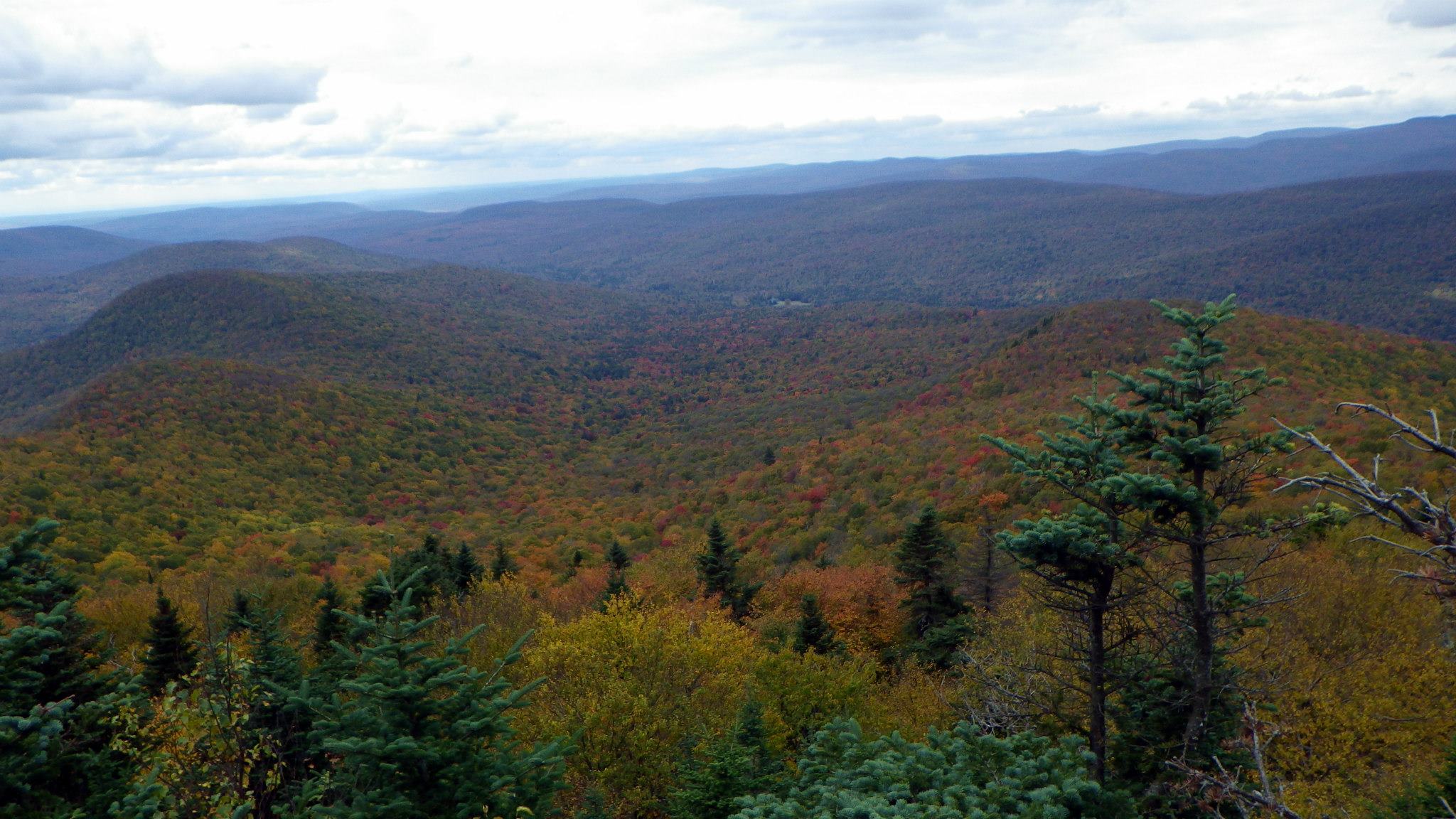 Activities, Entertainment, and Restaurants in the Catskills