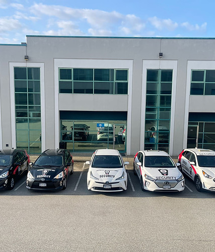 ARMOUR SECURITY-SECURITY GUARD SERVICES, BODYGUARD SERVICES & PRIVATE ...