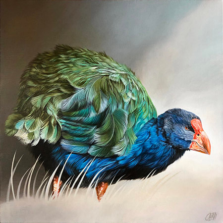 Takahē | Craig Platt
