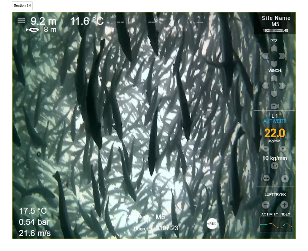 Precision Feeding with Echosounders and Cameras: A Collaboration ...