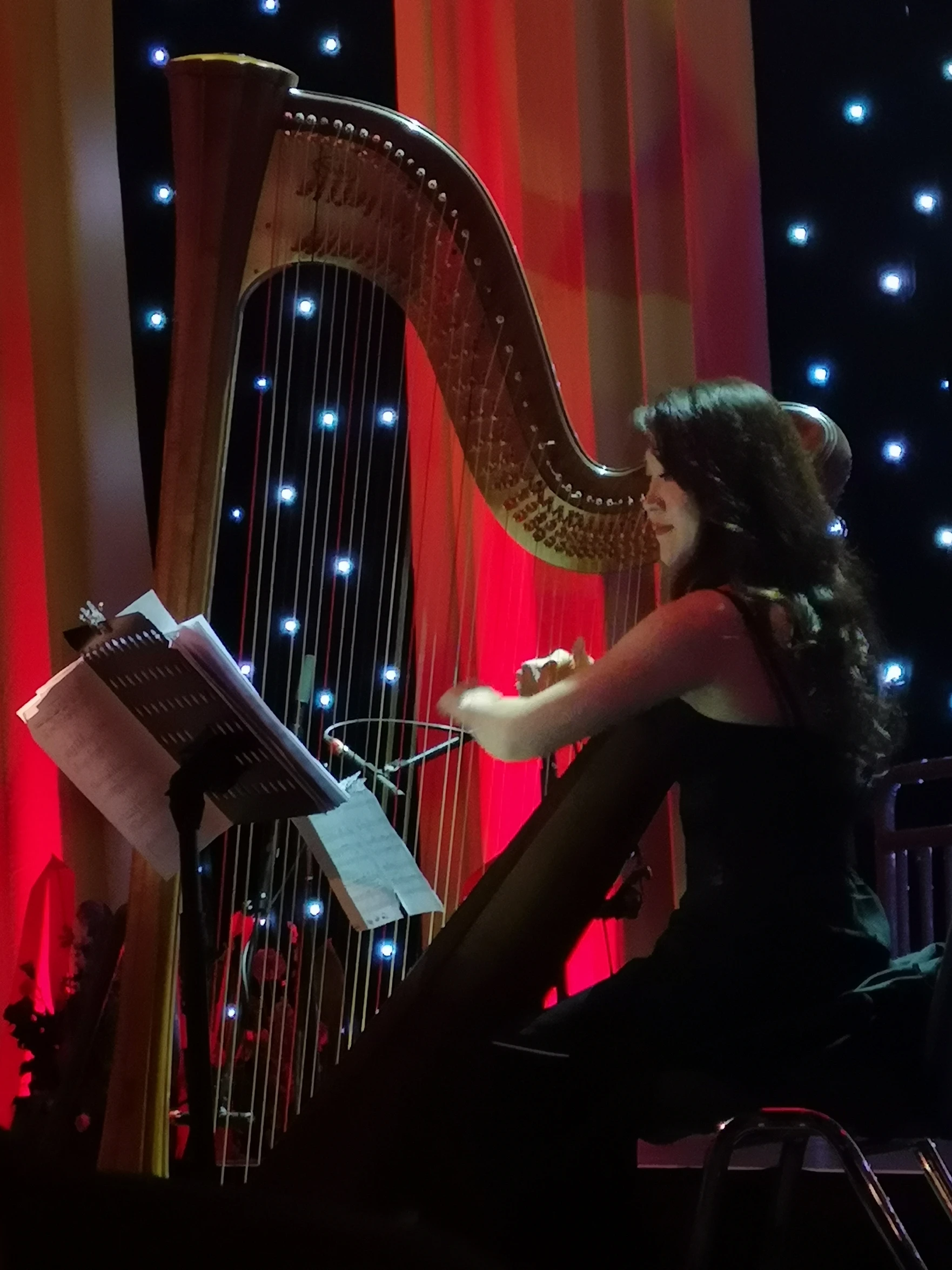 Chu Chang Harpist | musician | Ireland
