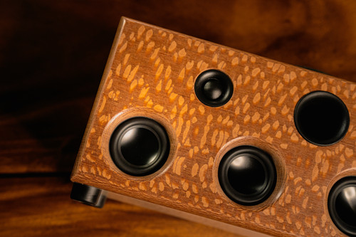 BK3.100 (Leopard Wood) | Primitive Audio
