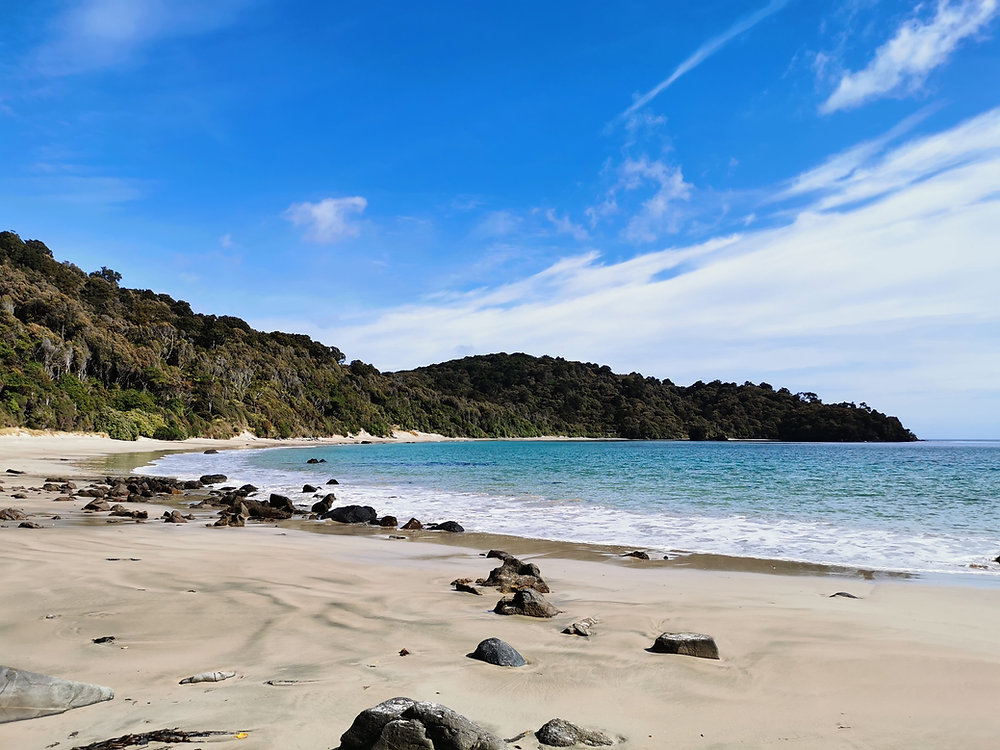 Te Araroa trail : FAQ