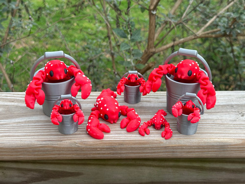 Lobster in Bucket 3D Fidget Toy | Southern Sun Designs
