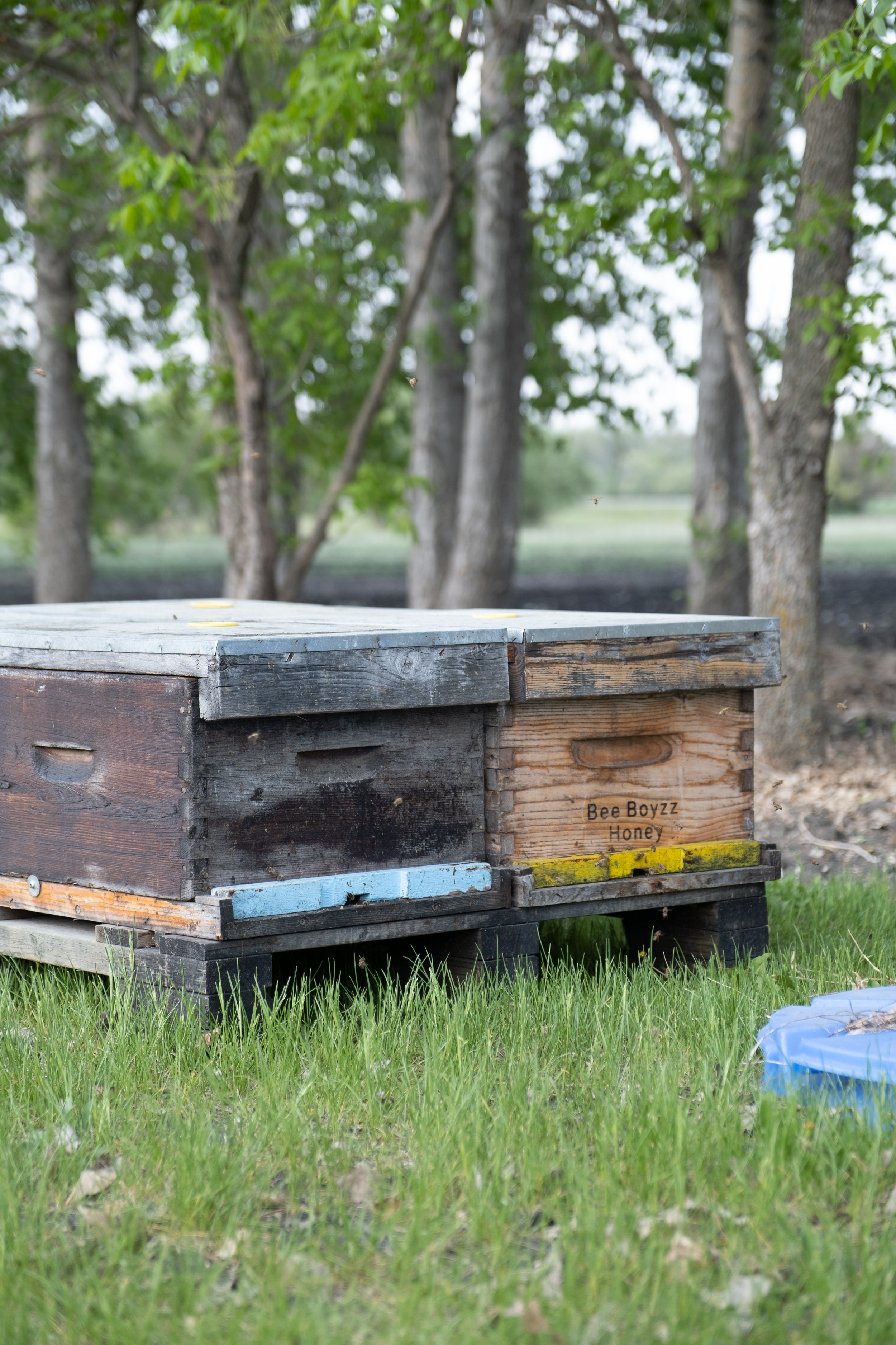 Meadery Experience | Bee Boyzz Honey&Mead