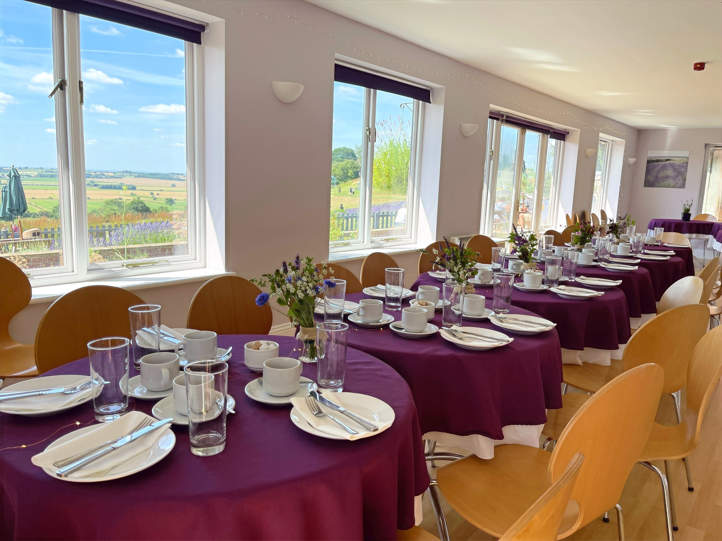 Yorkshire Lavender | Harri & Ed Tea Room | Enjoy lavender scones, tea ...