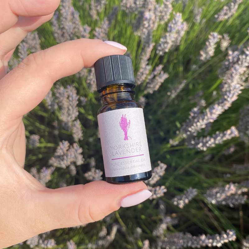 Yorkshire Lavender | Lavender Gift Shop