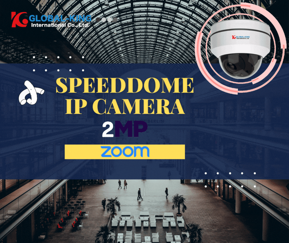 IP Speed Dome