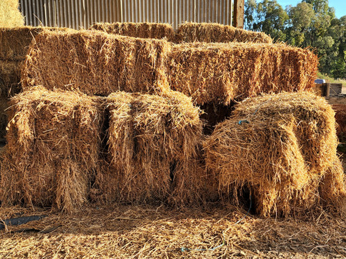 Prime Lucerne Garden Mulch | Gaffy's Lucerne Hay