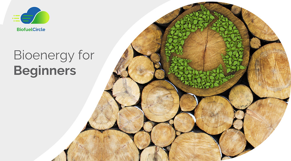 Bioenergy For Beginners bioenergy-for-beginners