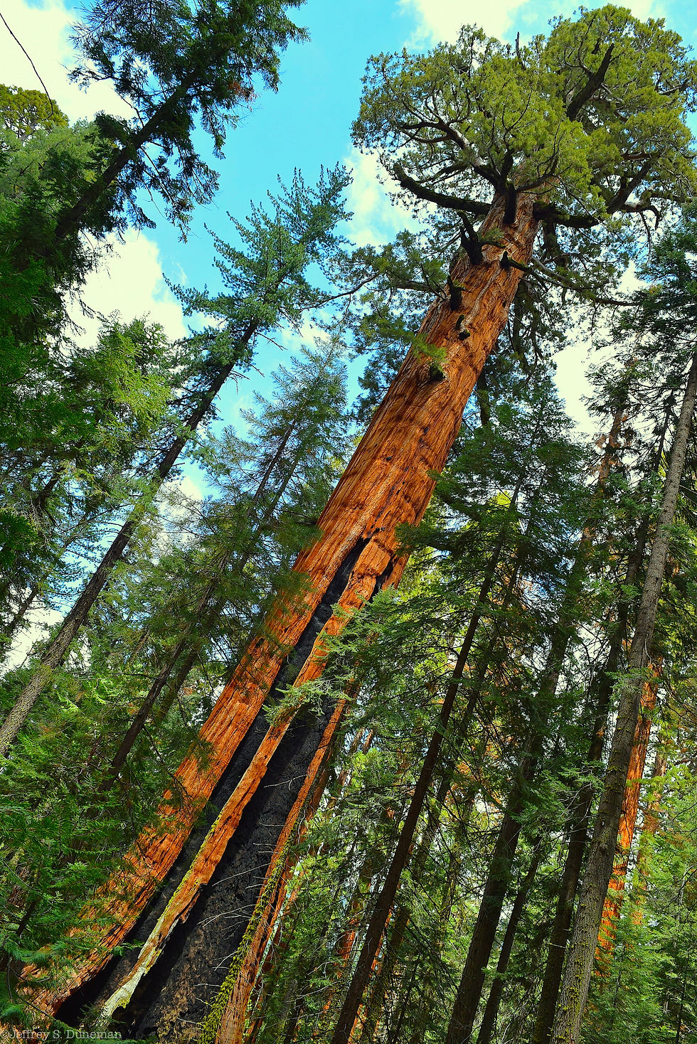 Monarch Wilderness | Sequoia National Forest
