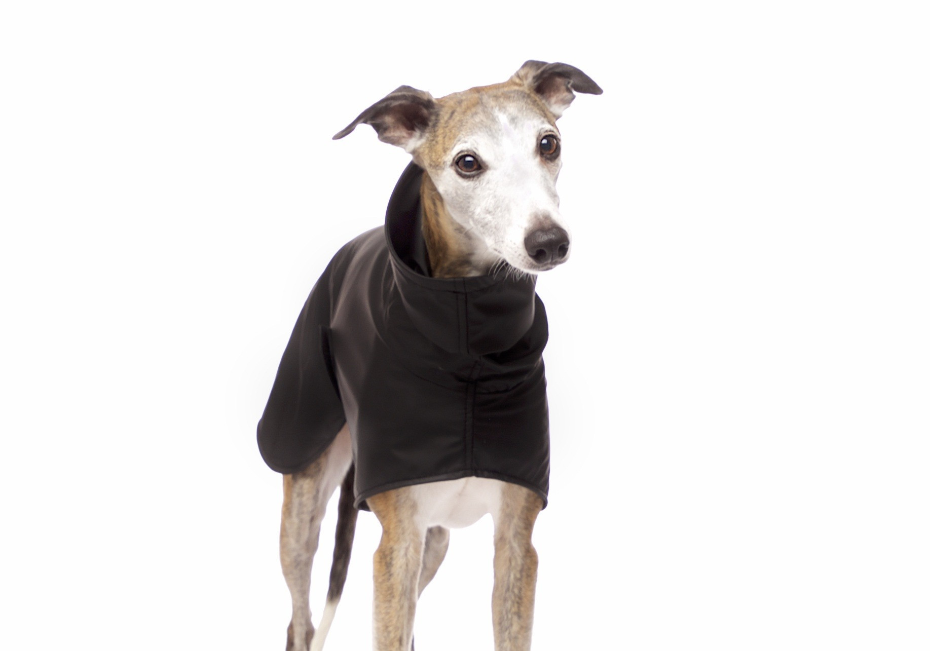 Sofa Dog Wear – Kevin Jumper & Hachico | Mäntel & Jumper | 8Pfoten.shop