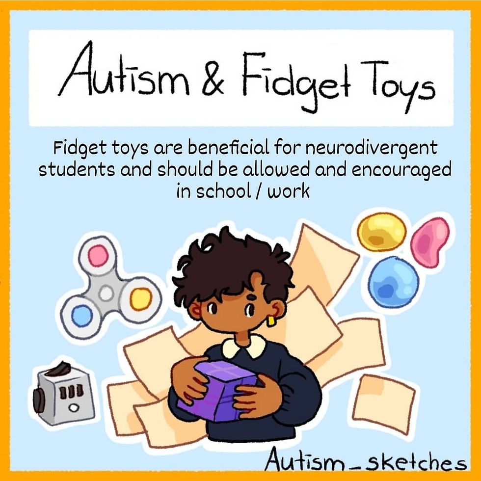Autism & Fidget Toys