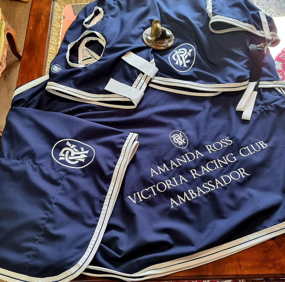 TROPHY | STABLE 8 CUSTOM RUGS