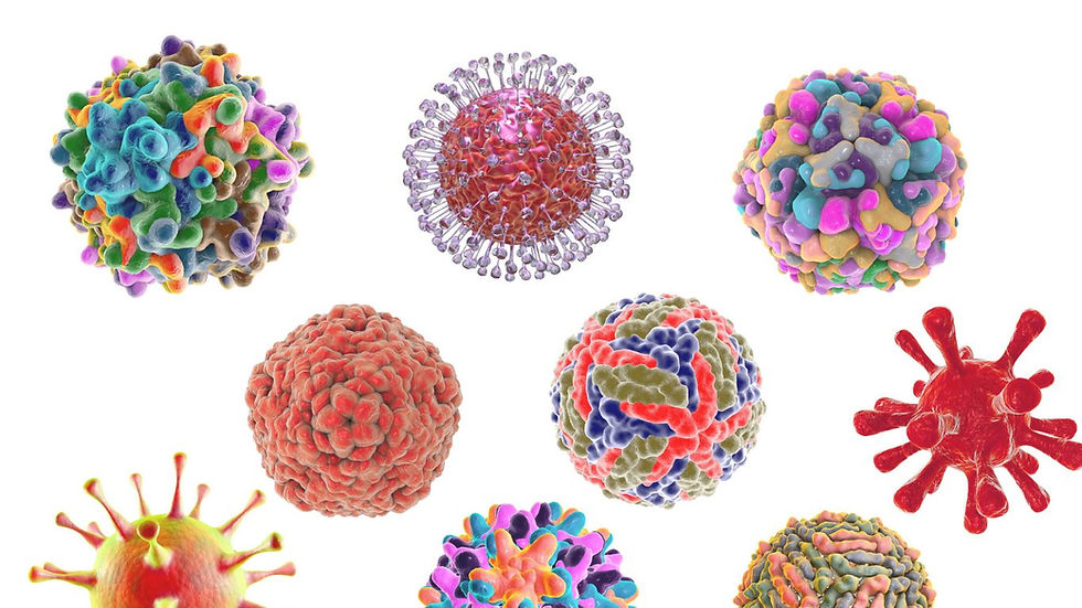 肝臟101 & 搶救肝臟 Liver Rescue Book