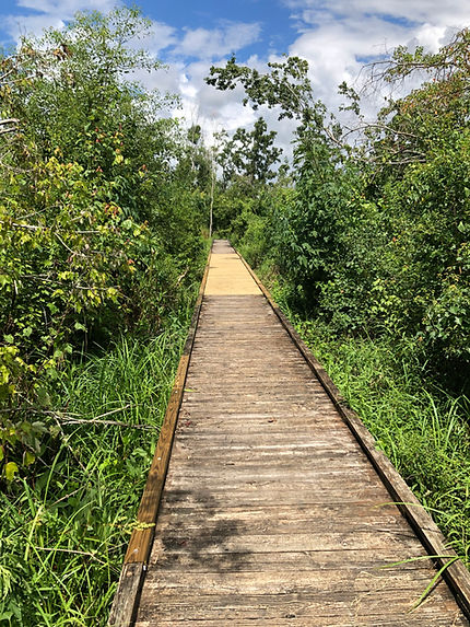 Bayou Segnette State Park | Mougeot Architecture