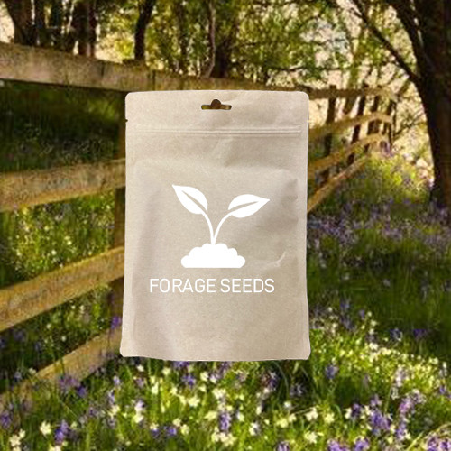 Woodland & Heavy Shade Wildflower Seed Mix 100% | FORAGE SEEDS