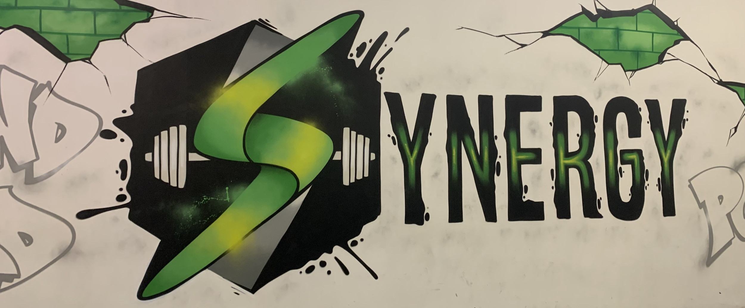 Fitness Bootcamp & Strength Classes in Toronto - Synergy Complete Athletics