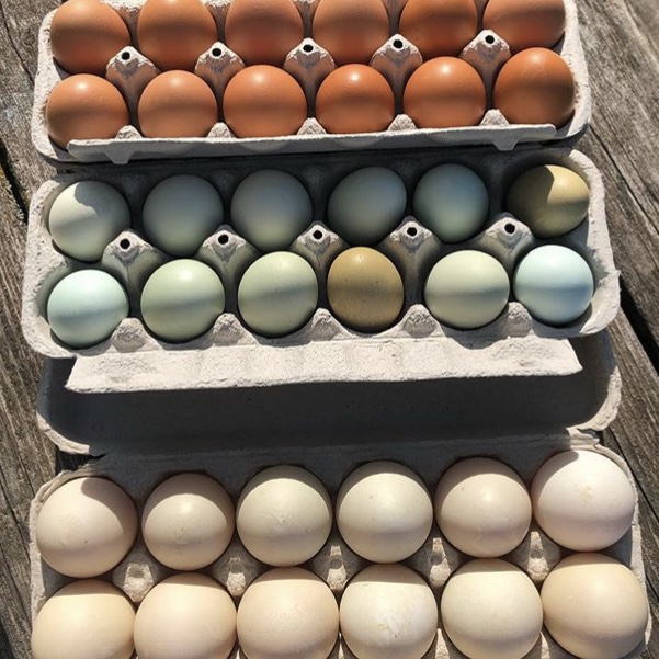 The Spectrum Of Eggs
