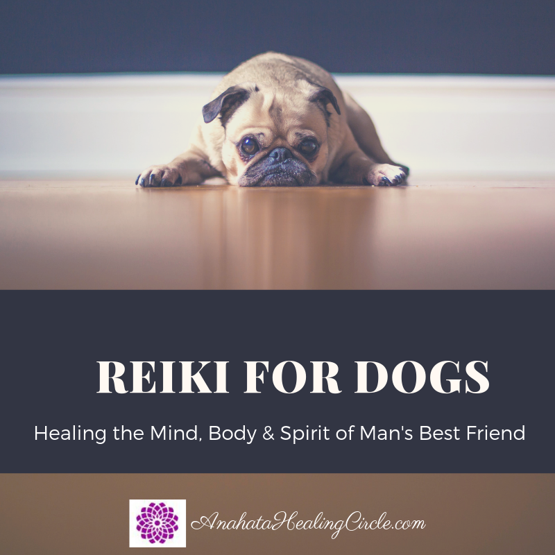 benefits of Reiki for dogs