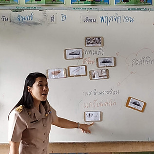 About | Translanguaging Education