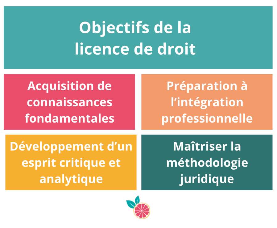 La licence de droit : diplôme, programme, débouchés