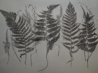 Stef Mitchell | Artist | The Reading Room Gallery