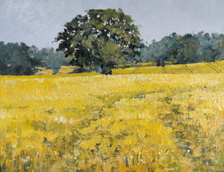 Michael Salt | Artist | Reading Room Gallery