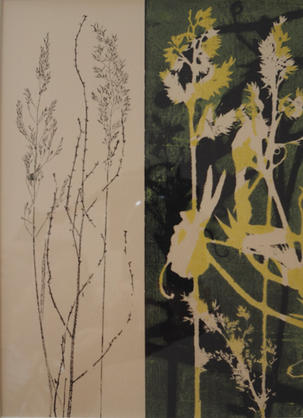 Stef Mitchell | Artist | The Reading Room Gallery