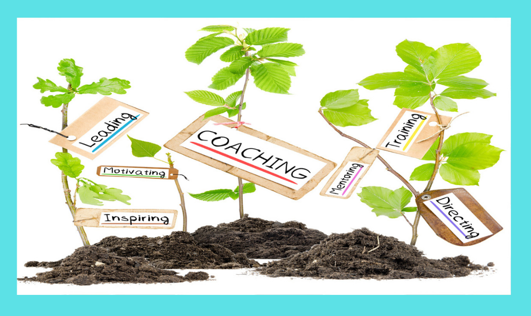 The Leadership Harvest; Planting Seeds For A Lifetime