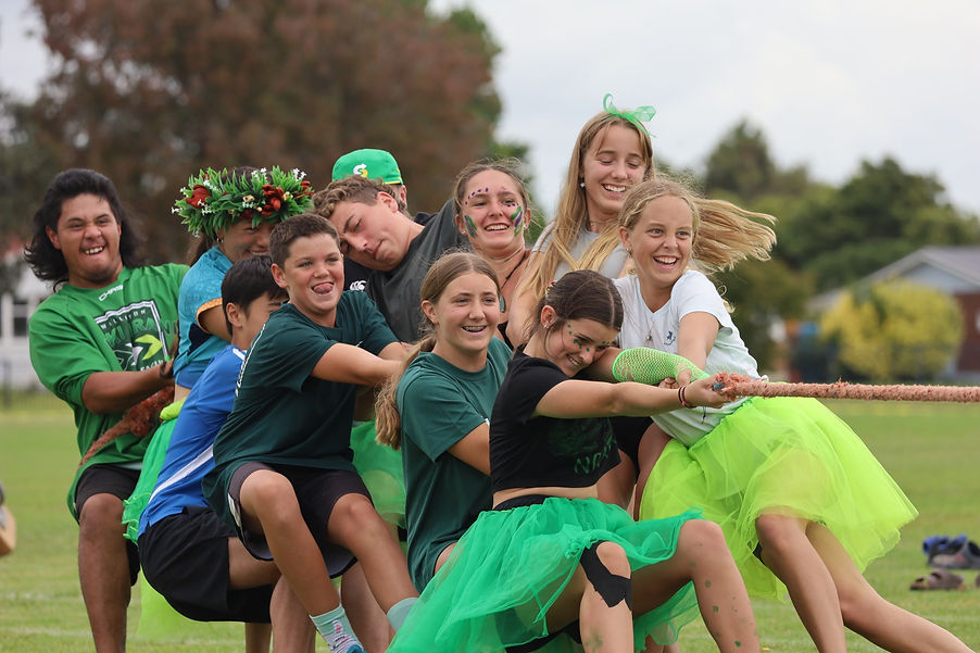 House Groups | Trident High School