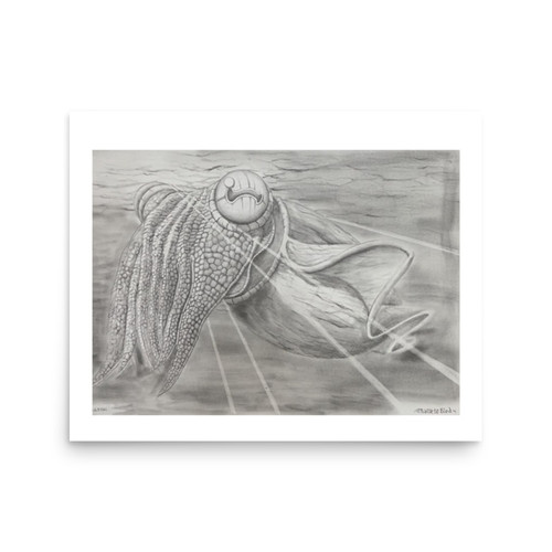 Cuttlefish Poster | Matte Black Art