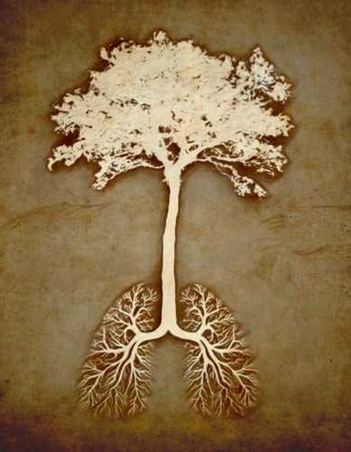 $50 digital download of Tree of Life image | Kalen Dion Poetry