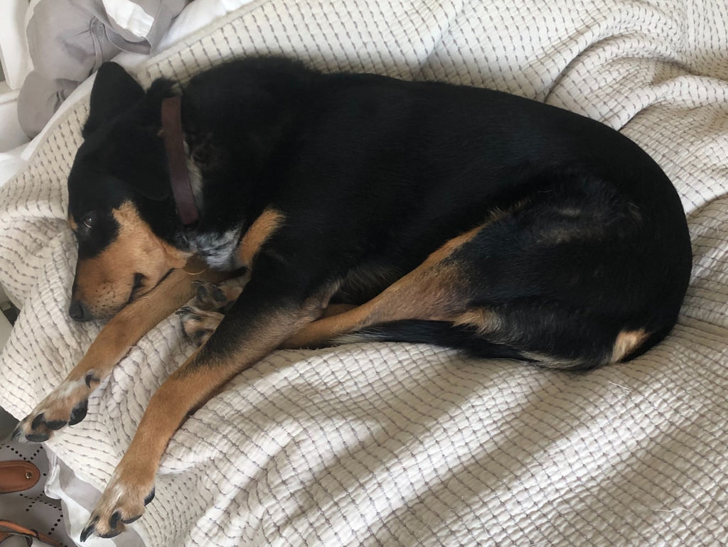 Home | Durran Durra Truffles