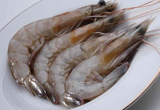 6 Fakta Menarik dari Udang yang Harus Diketahui