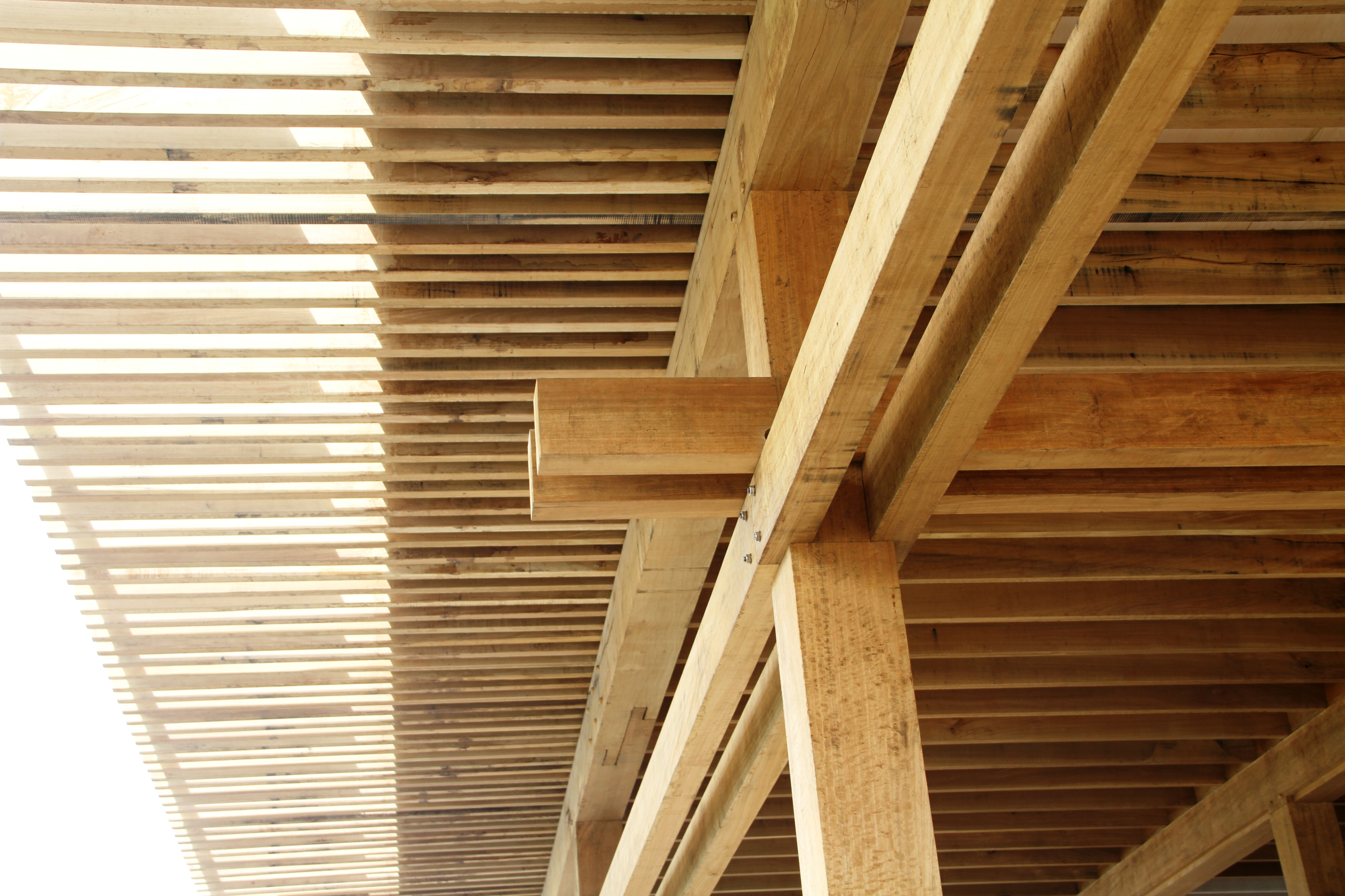 Thomas Leach Architects