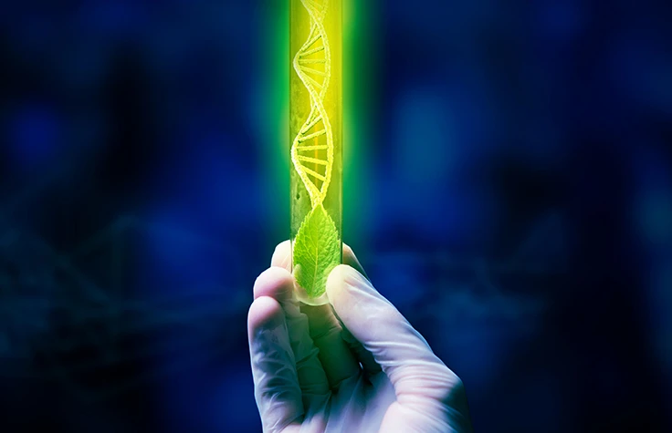 Plant Genomics (Hands-on Training) | GENOMAC INSTITUTE