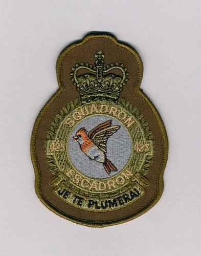 425 Sqn Crest | patchesandpunches