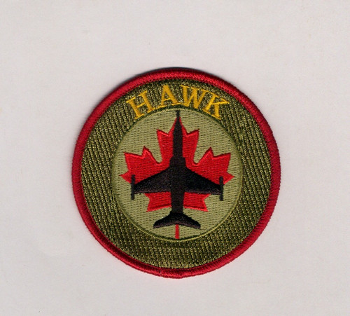 HAWK Patch | patchesandpunches