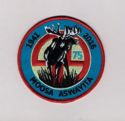 419 Squadron 75th Anniversary | patchesandpunches
