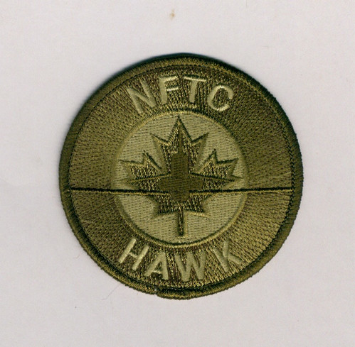 NFTC Hawk | patchesandpunches