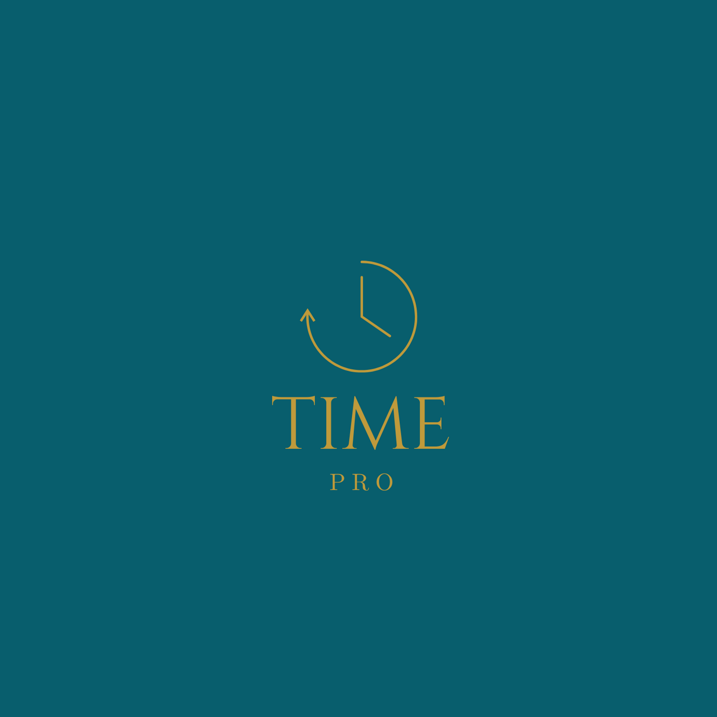 TimePro | irinagelwer.com